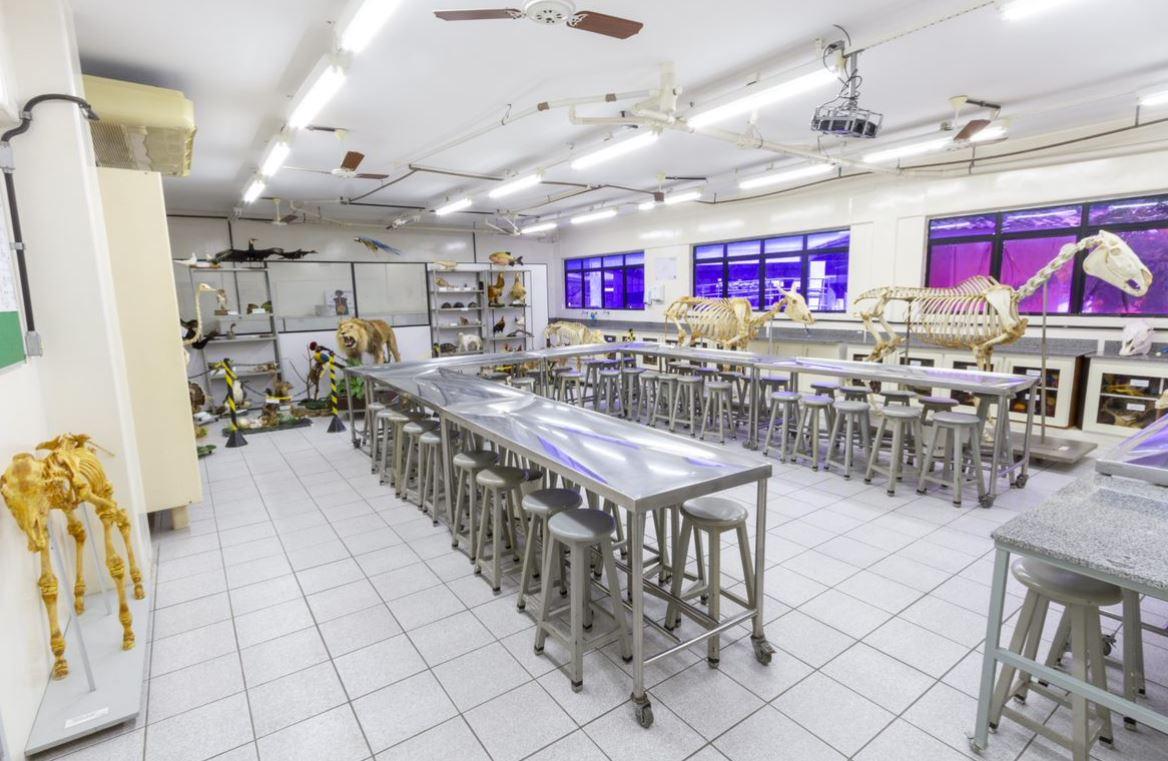 Unime: conheça as unidades, cursos e valores – Blog da Unime ...